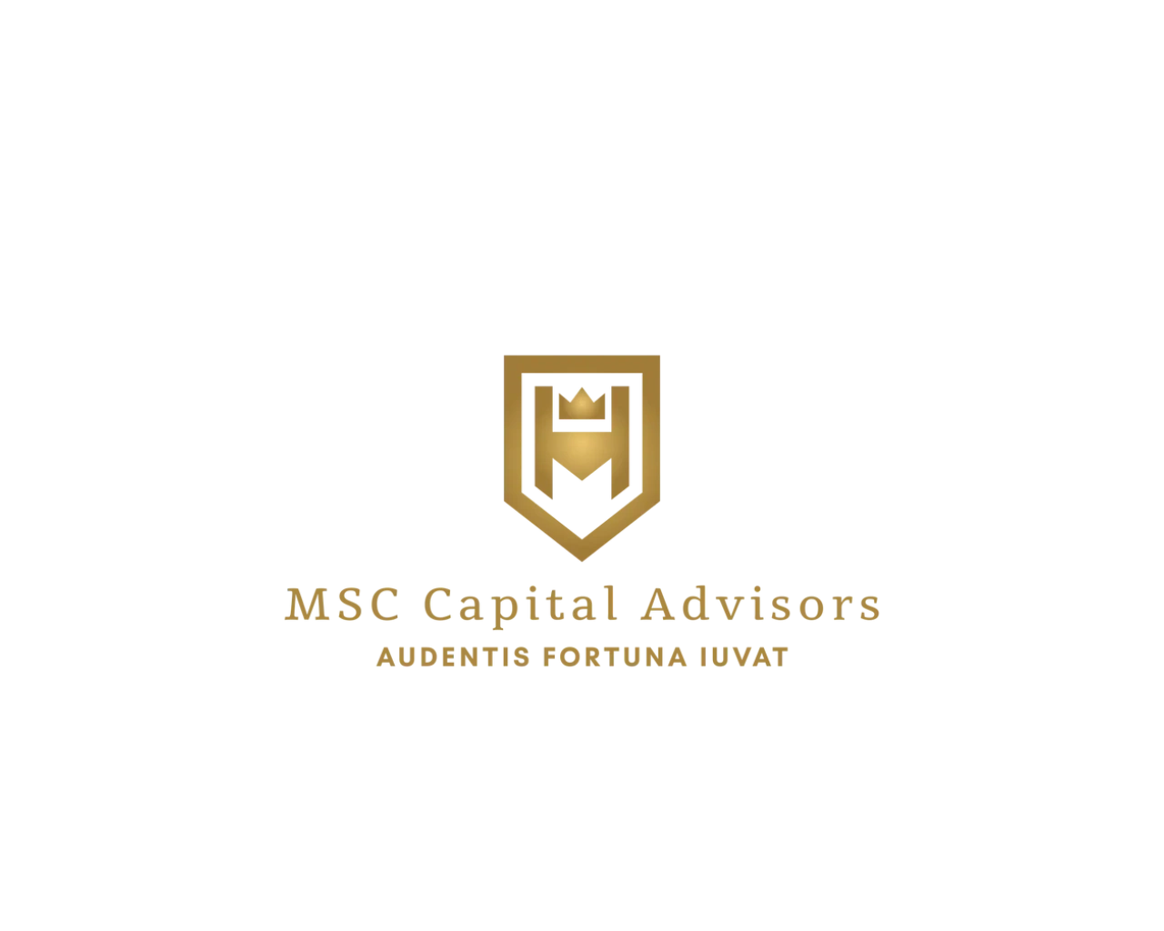 MSC Capital Advisors: A Marque Fund Manager with Expertly Managed ...
