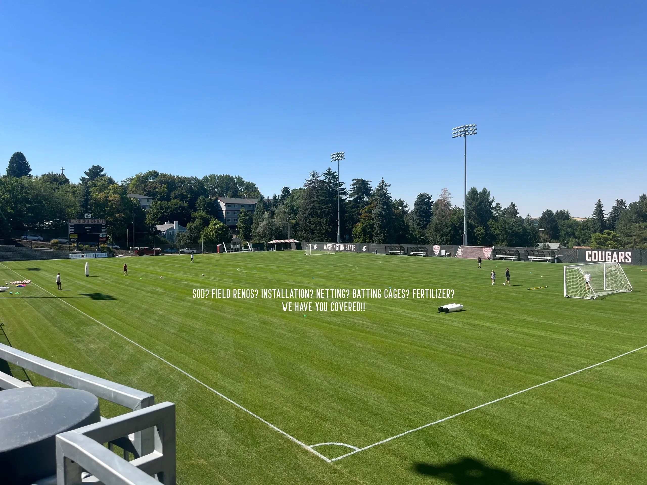 Desert Green Turf - Sod, Turf, Pacific Northwest