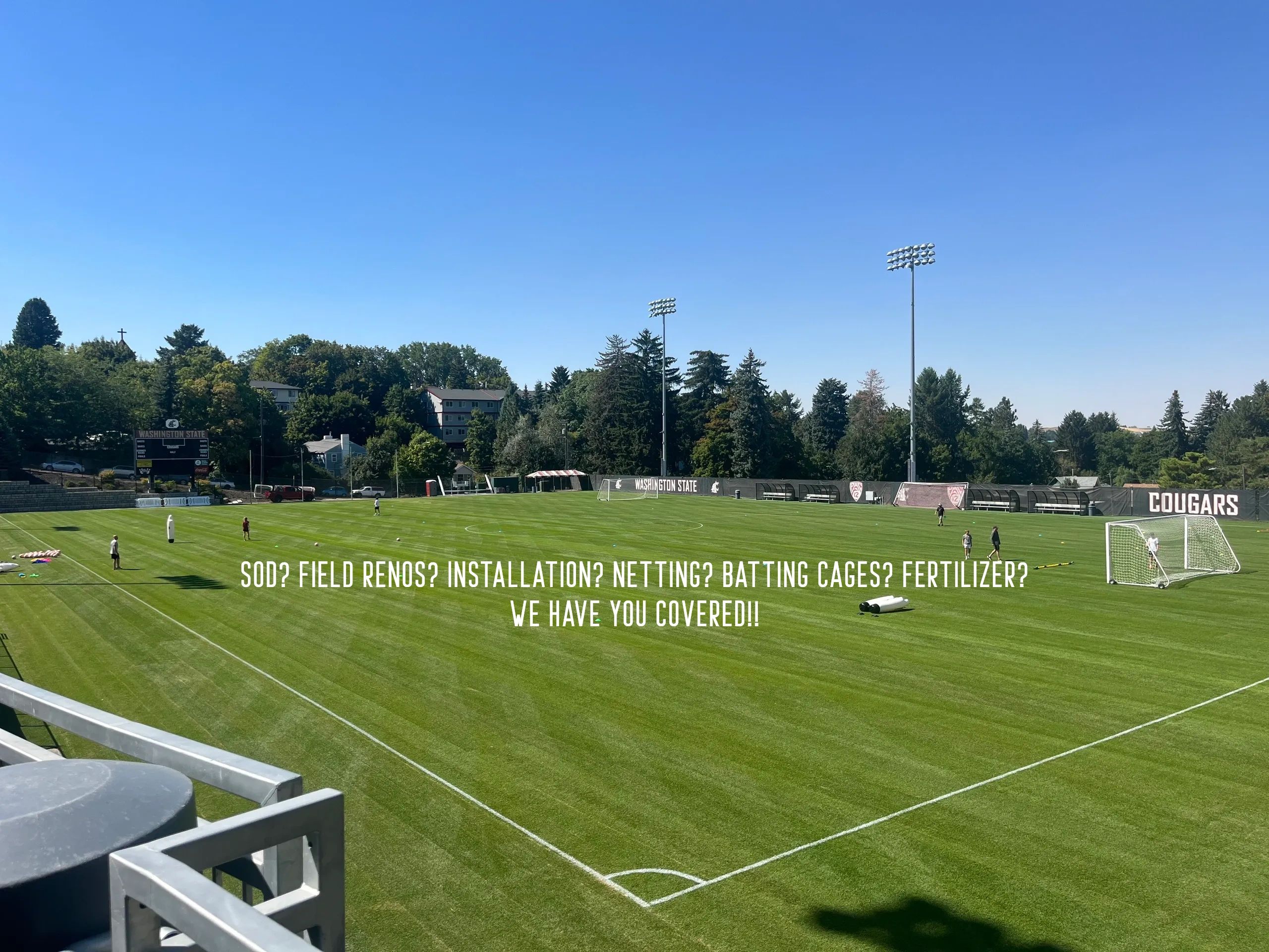 Desert Green Turf - Sod, Turf, Pacific Northwest