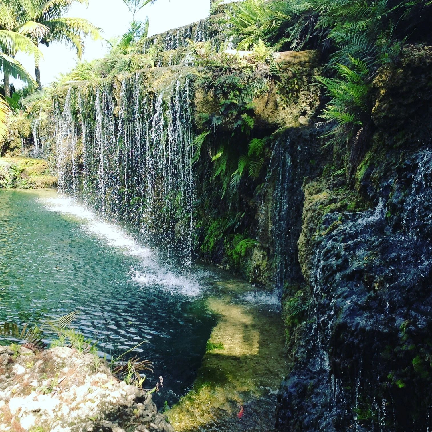 Reefchoice Rockworks