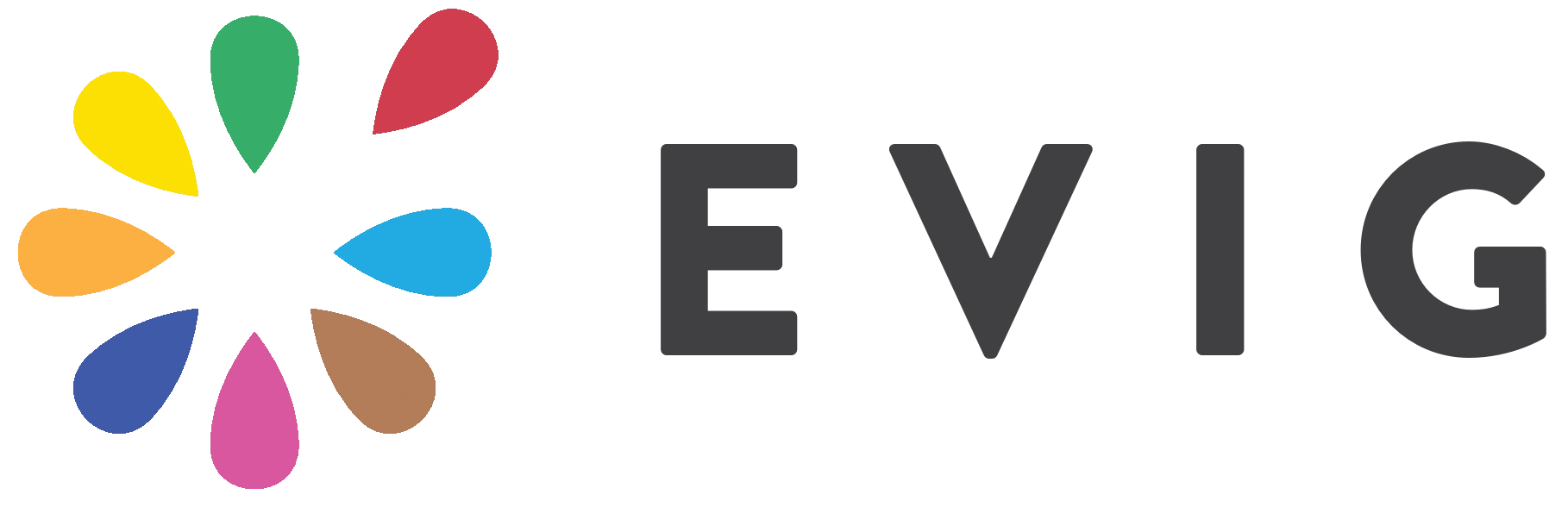 What Is EVIG
