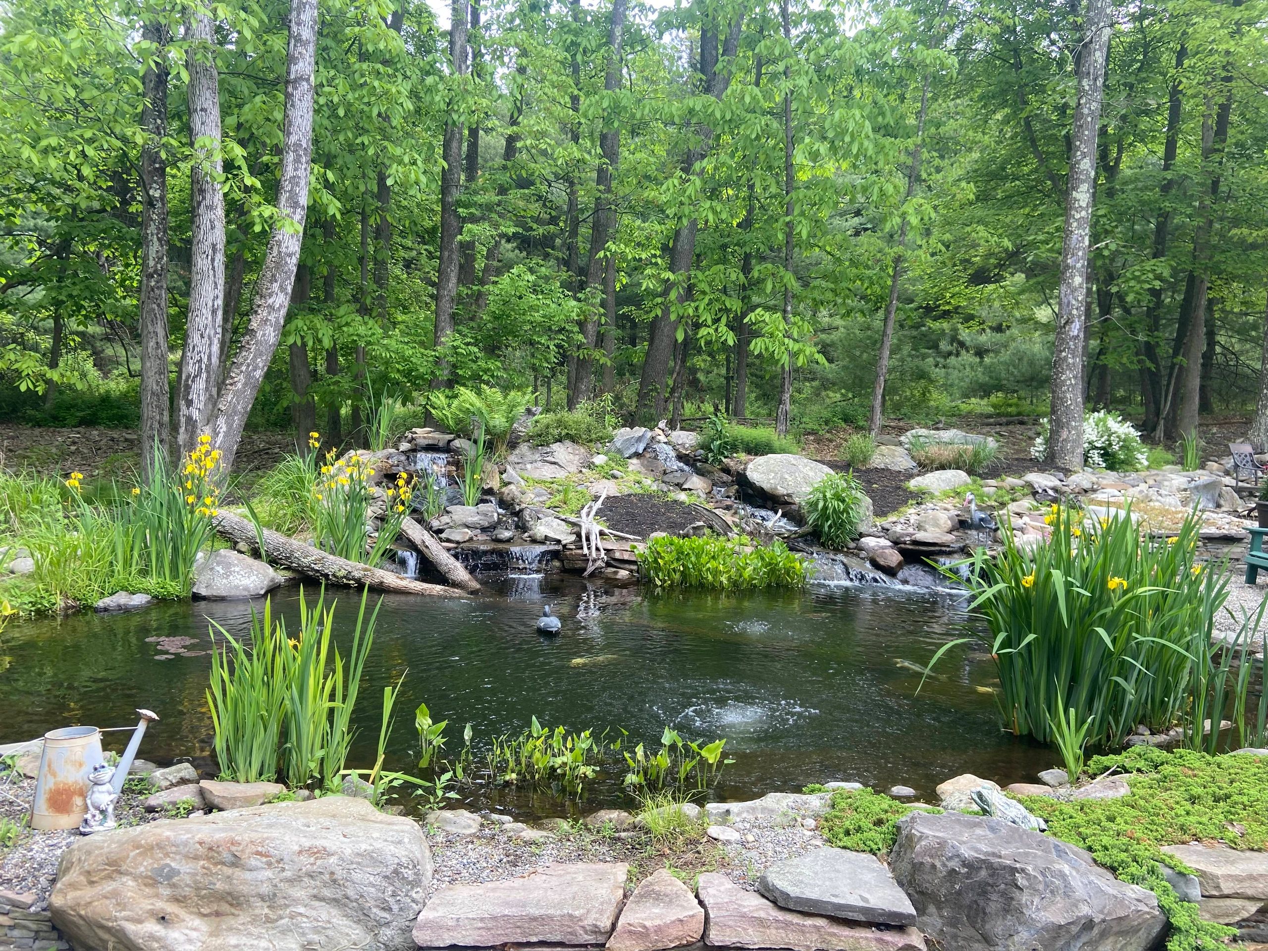 Pocono Ponds