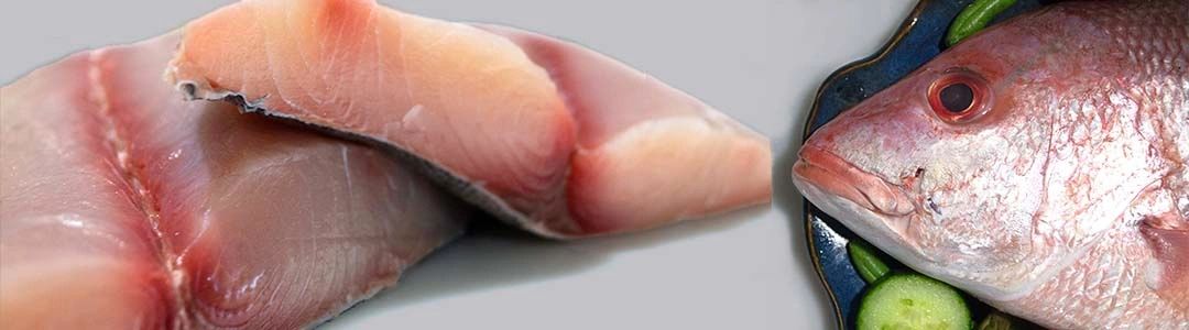 White Fish (Fish case)