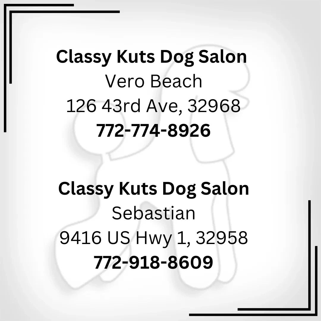 Classy Kuts Dog Salon