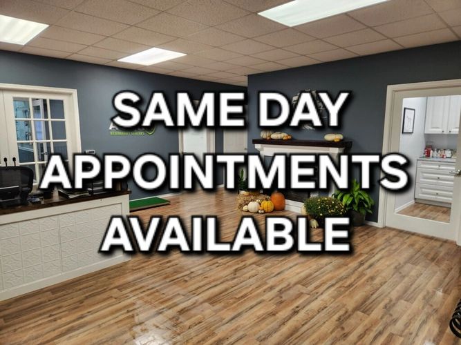 Acorn Veterinary Centers in Strasburg, Virginia