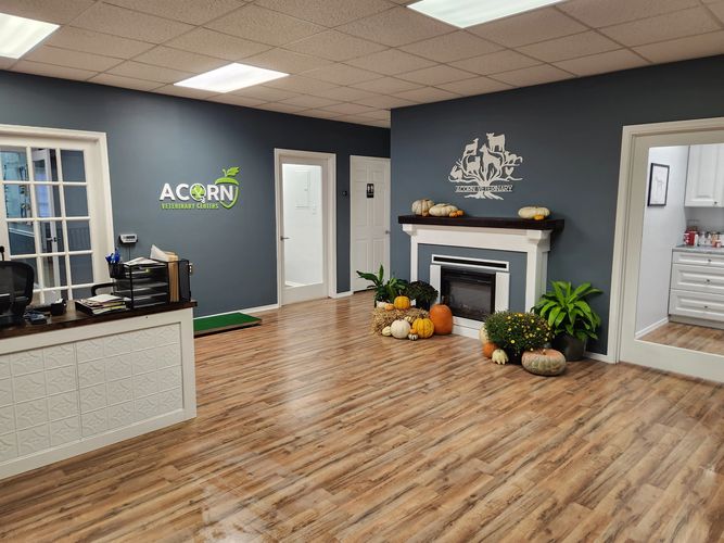 Acorn Veterinary Centers in Strasburg, Virginia