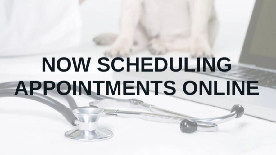 Acorn Veterinary Centers in Strasburg, Virginia