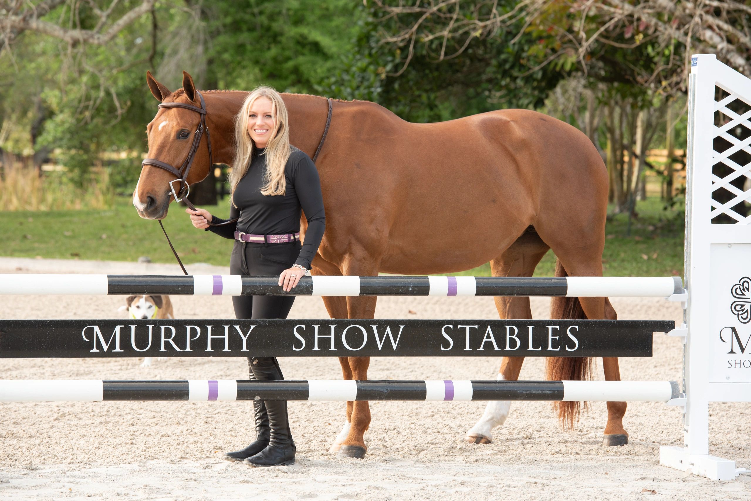 Murphy Show Stables