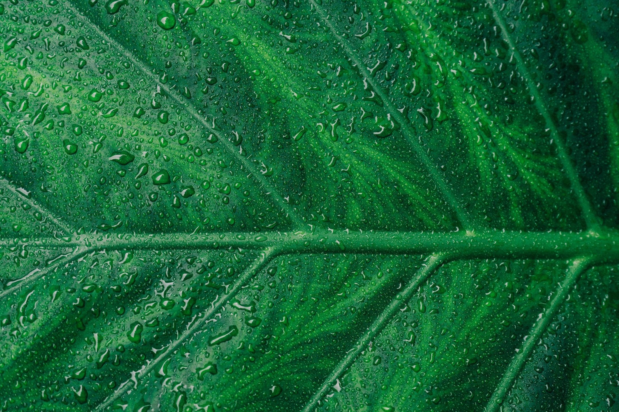 UCarbon | Be Carbon Aware
