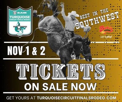 Camp Verde Arena Association