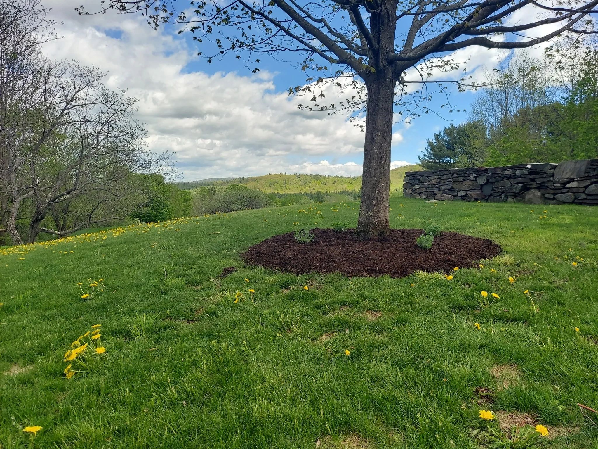 Landscape Services FAQs