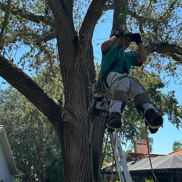 Lumberjacks Tree Service