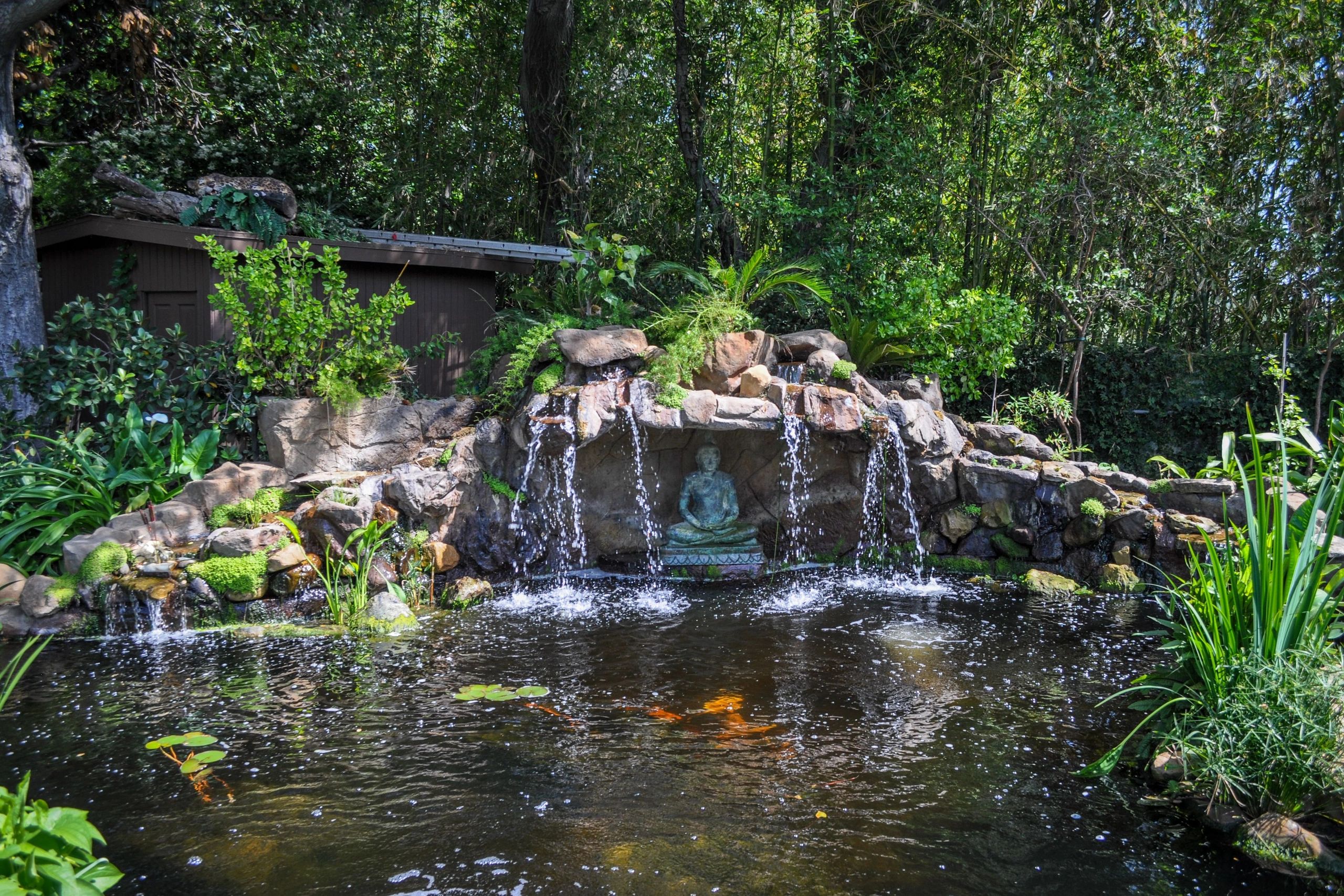 Tips for Maintaining a Healthy Pond Ecosystem