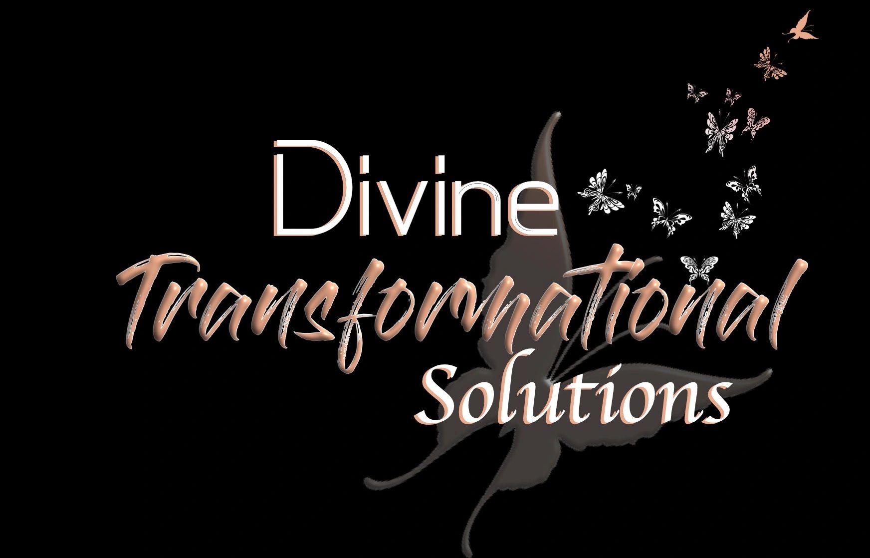 Divine Transformational Solutions LLC | Divine Transformational ...