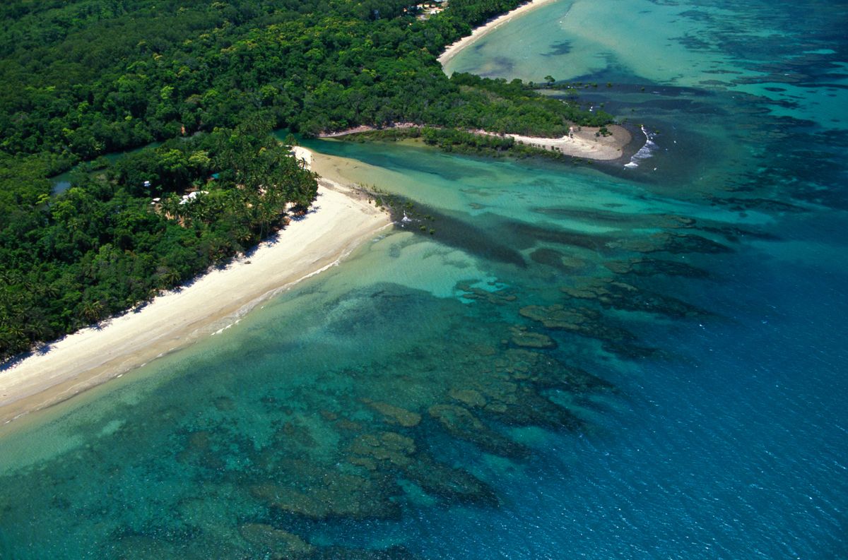 Reef Meets Rainforest