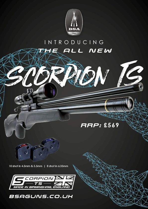 BSA Scorpion TS PCP .177