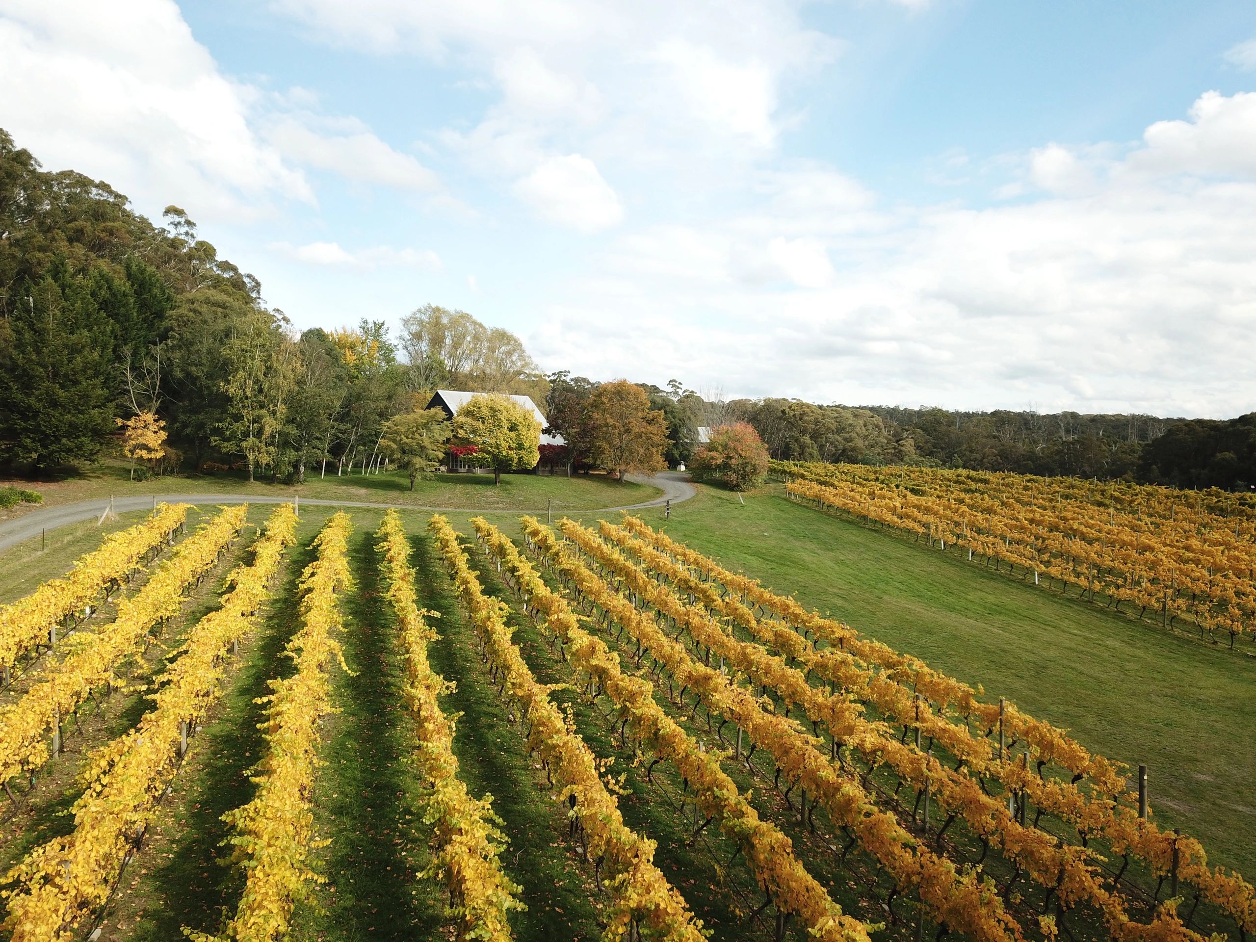 Wine - Rill House Vineyard