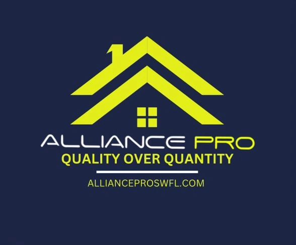 Professional Handyman Services | Alliance Pro LLC