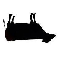 Colorado Craft Distributors