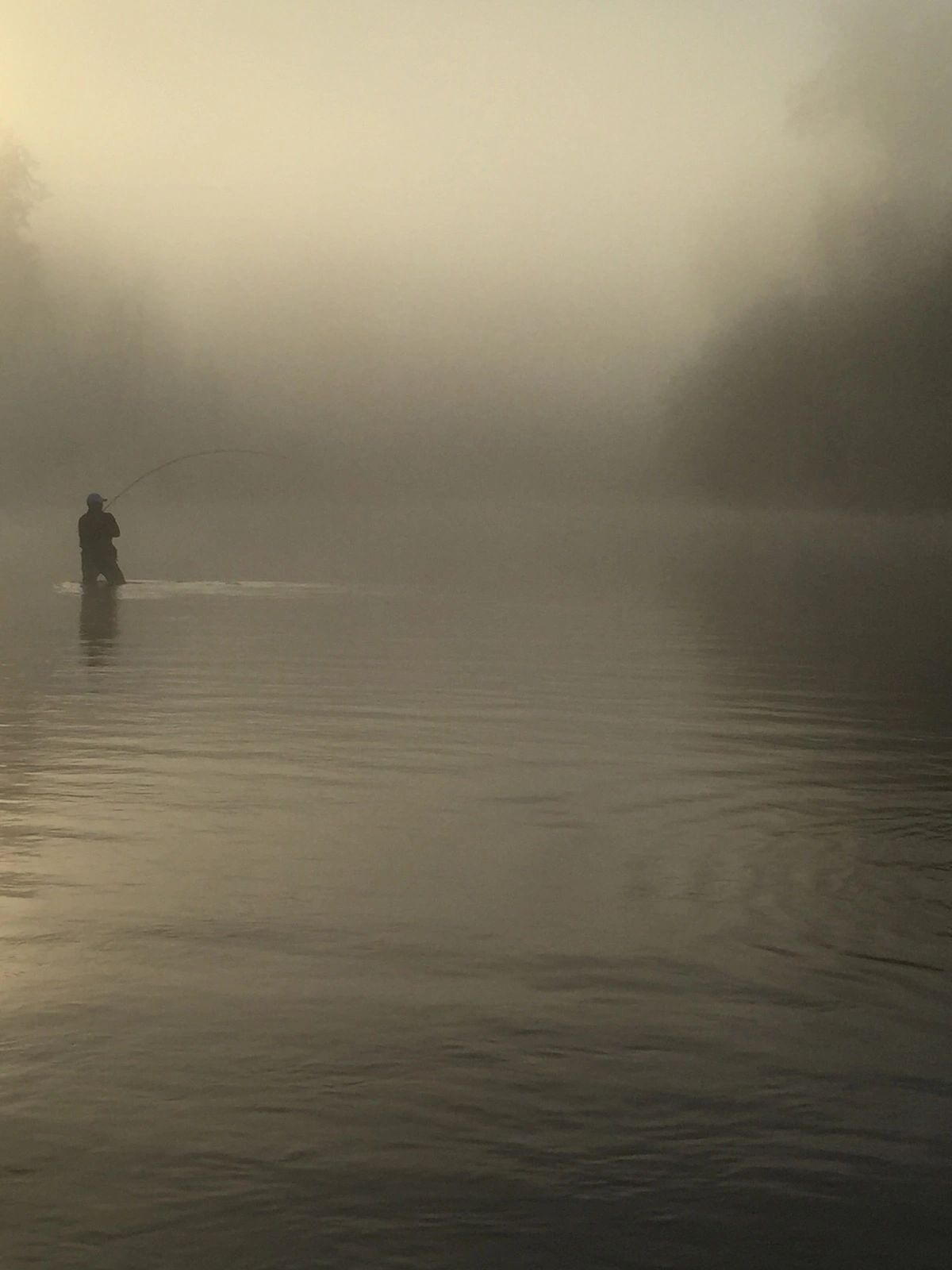 Steeple Cast Partners