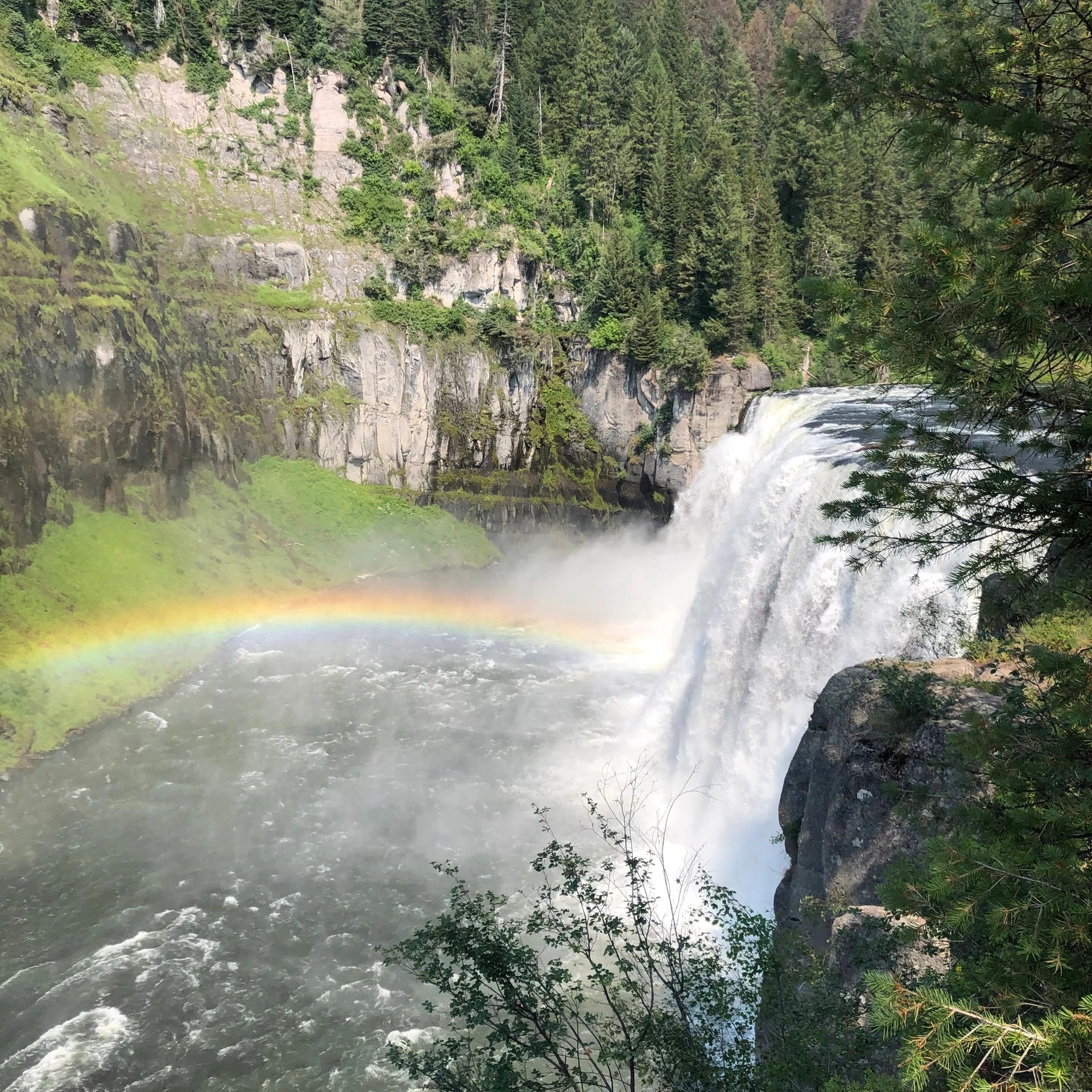 Gradual Wellness - Life Coaching, Mindset Transformation Life Coaching ...