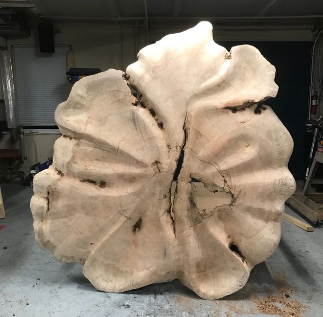 The "WHOLE" story | RICHARD A. POSA