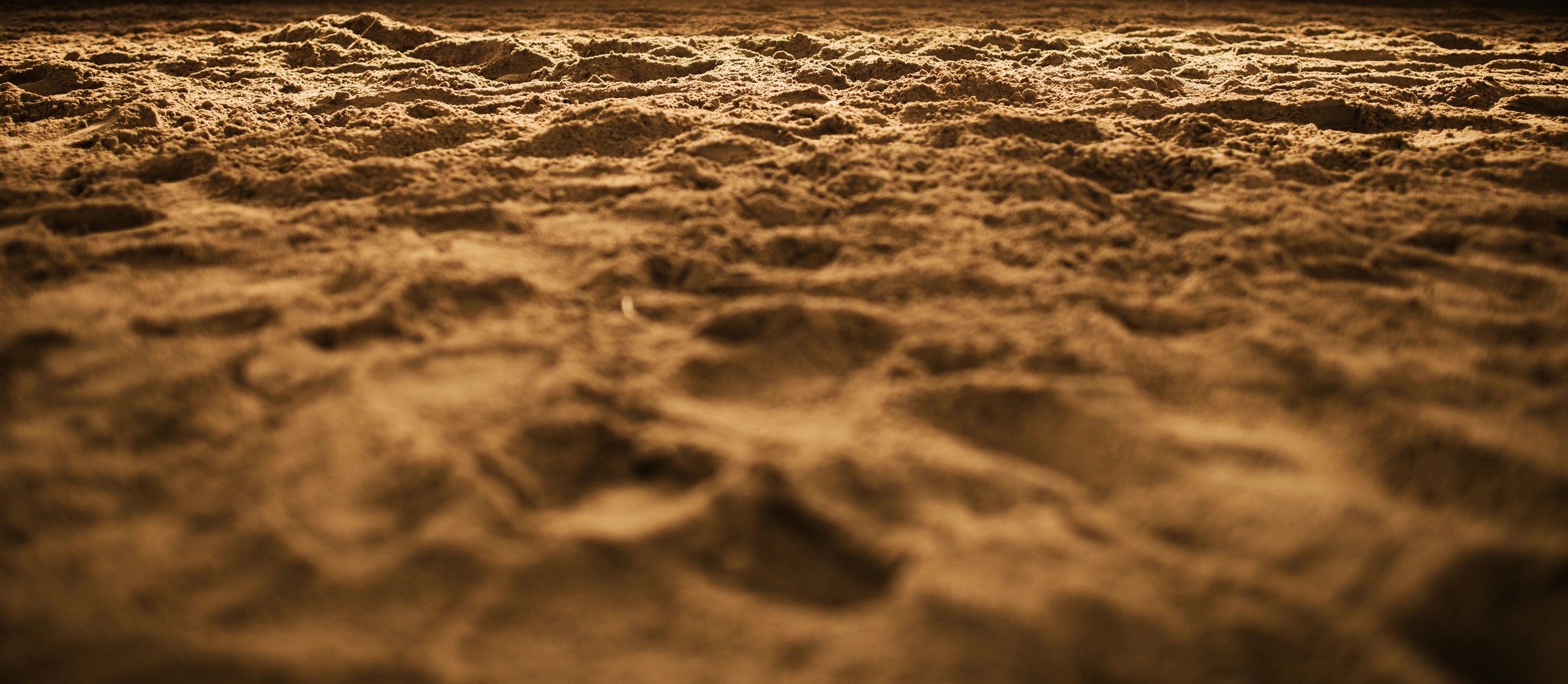 Premium Bull Riding Chute Pads for Ultimate Safety