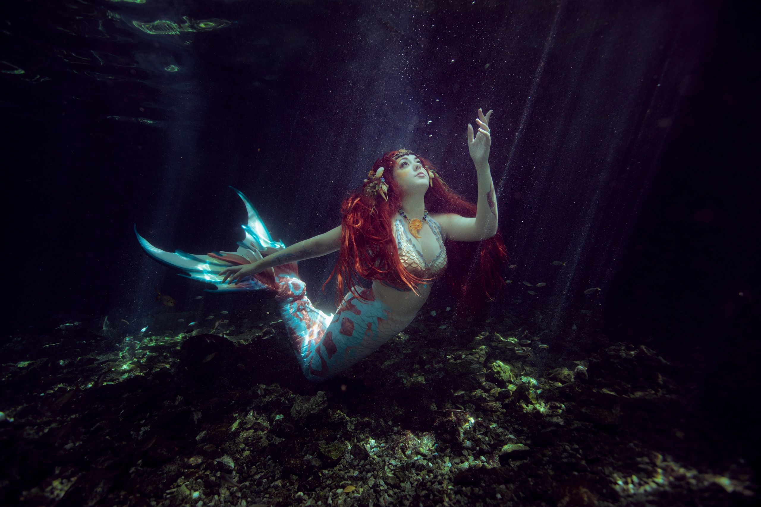 Mermaids, Hire a Mermaid - Halifax Mermaids - Halifax, Nova Scotia