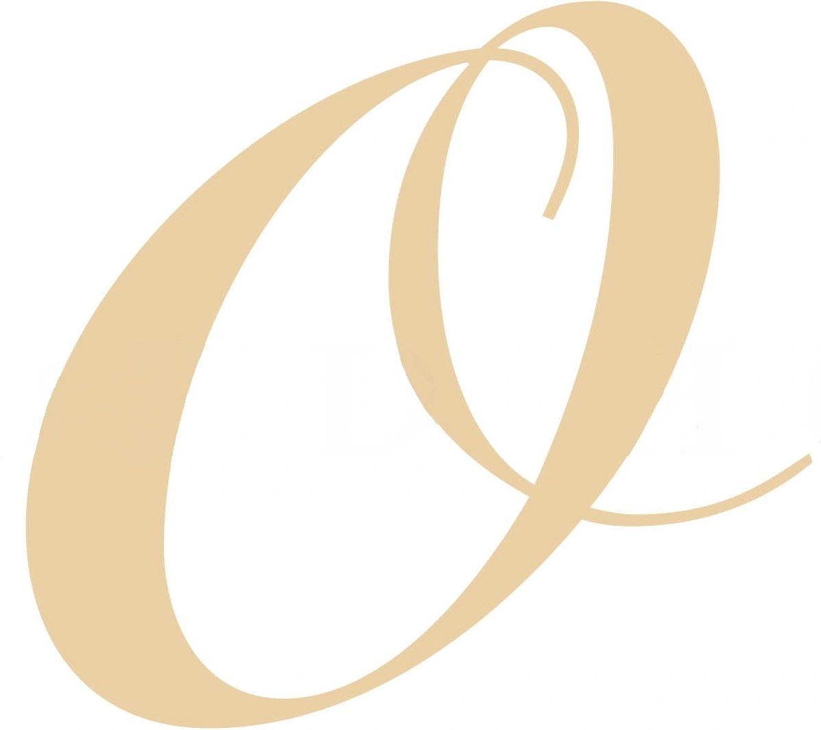 Innovation Unveiled: The Art of OXH's Property Development