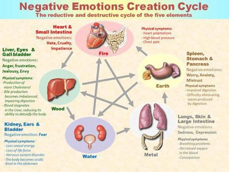 Spring! How the Emotions Effect our Inner Organs