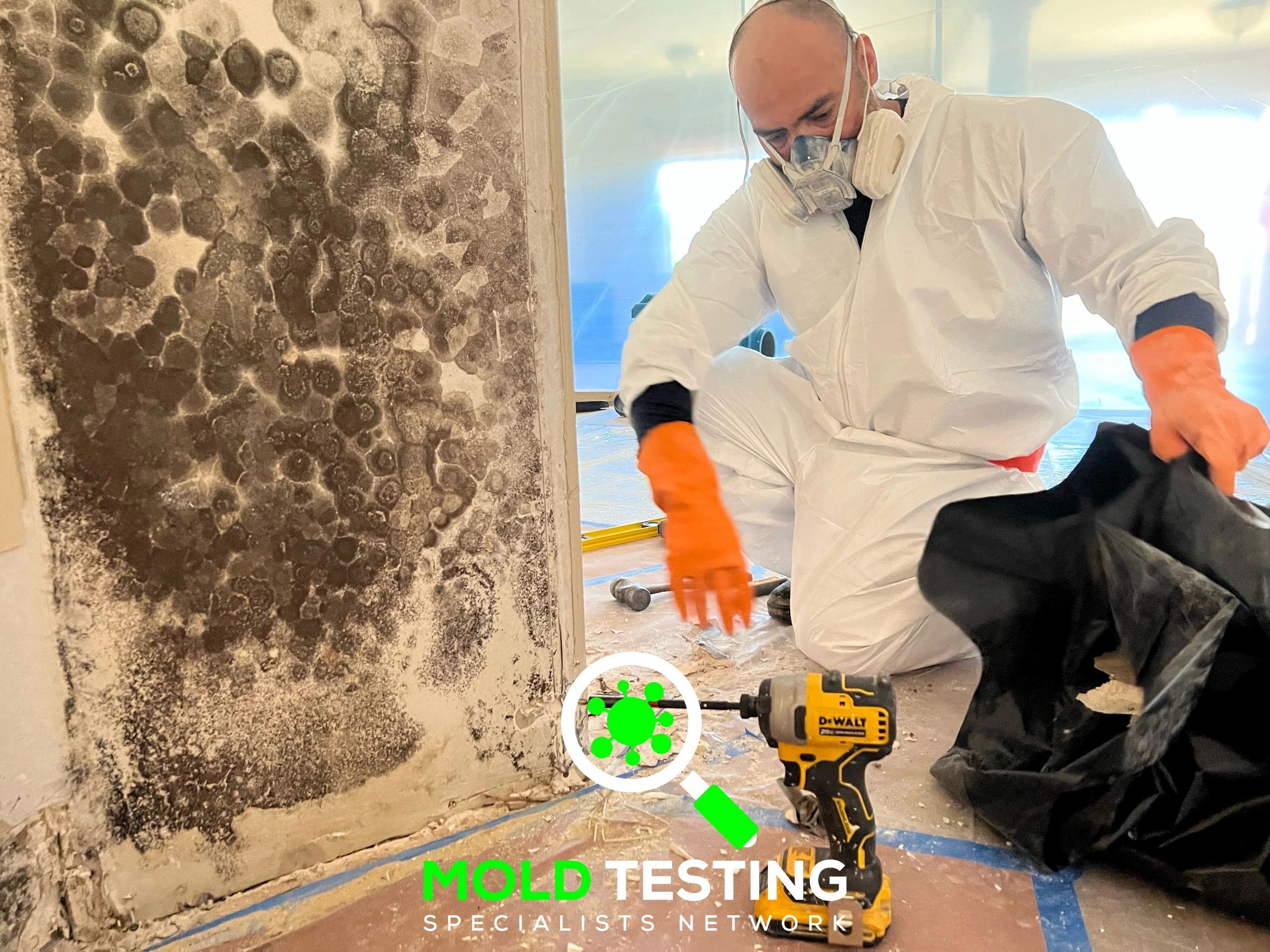 Mold Inspection Near West Covina - Mold Testing & Mold Removal