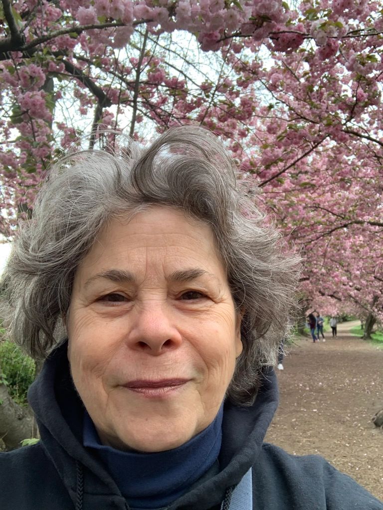 "Sensing with Shelley"