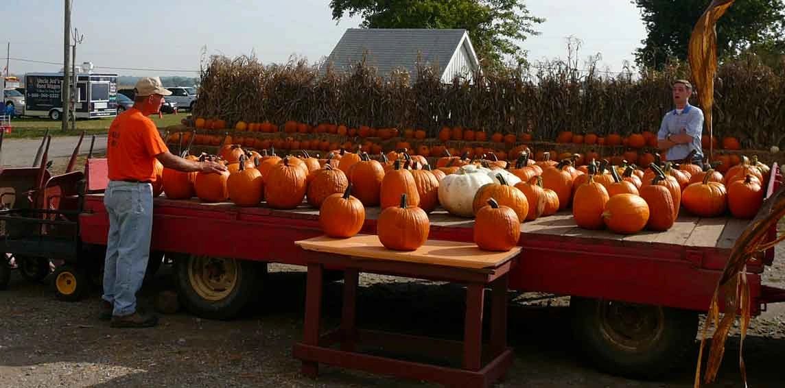 Relleke Pumpkin Patch
