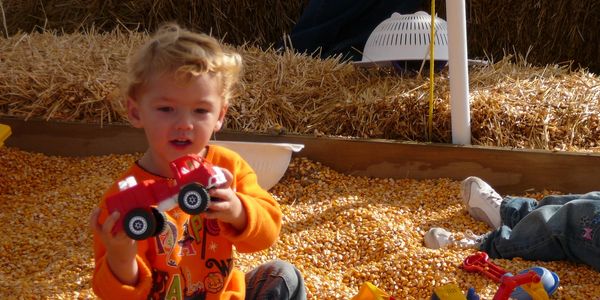 Relleke Pumpkin Patch