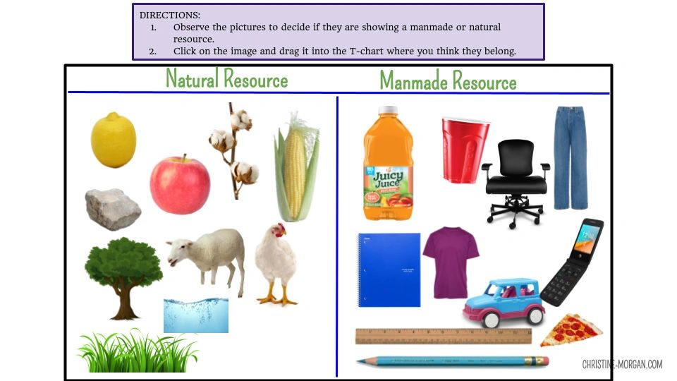 Natural vs. Manmade Resources