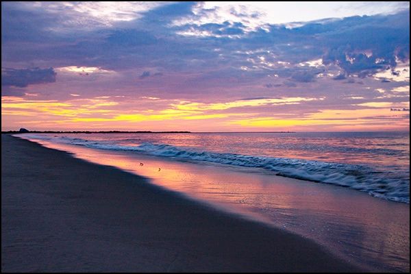 JS-9 "Aurora Blaze" New Jersey Shore - Prices Starting At