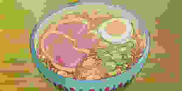 Ito Ramen | Authentic Ramen in San Antonio