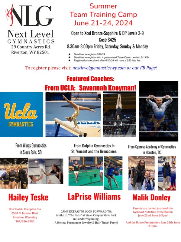 Next Level Gymnastics - Gymnastics, Competitive Gymnastics