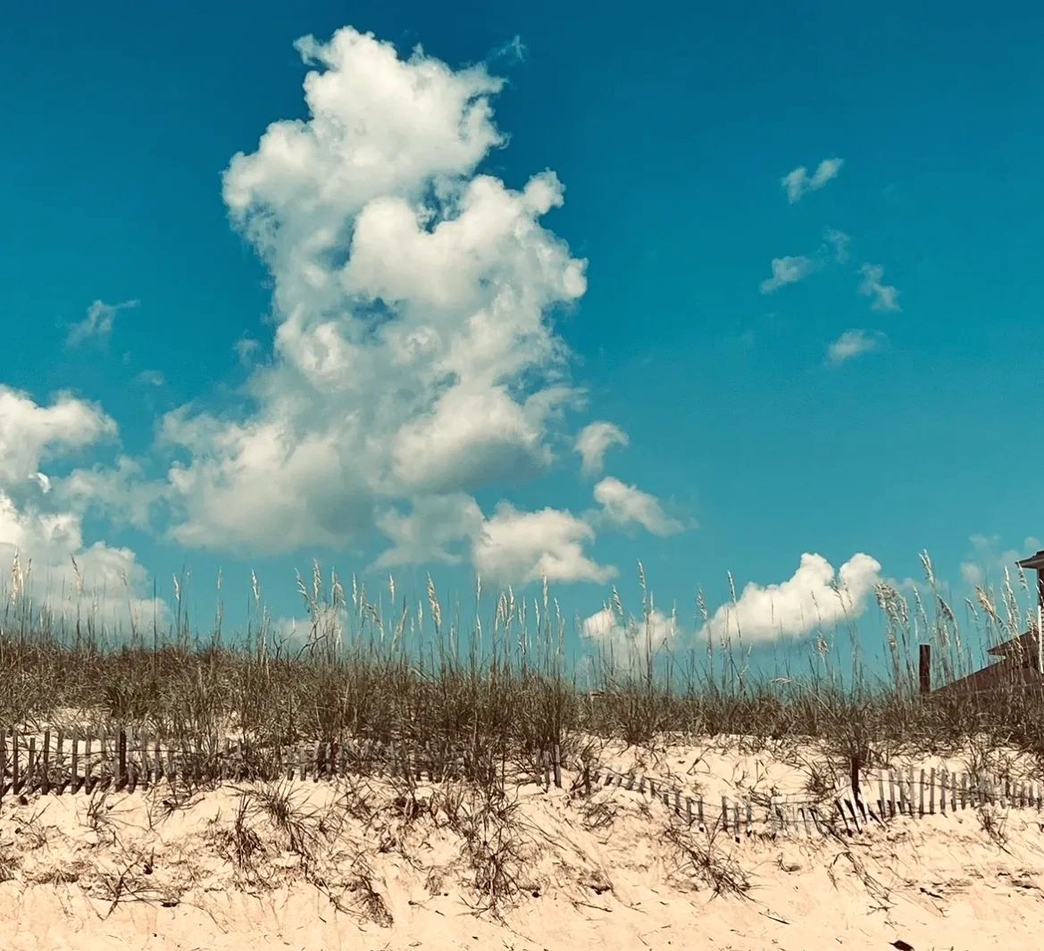 Gallery | Sandfiddler Cafe