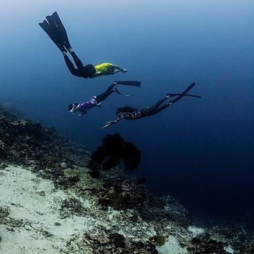Siquijor Freediving Center - Freediving Nomads Siquijor