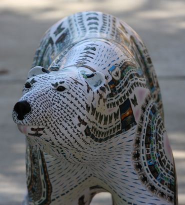 Land animals | ADAM THOMAS REES