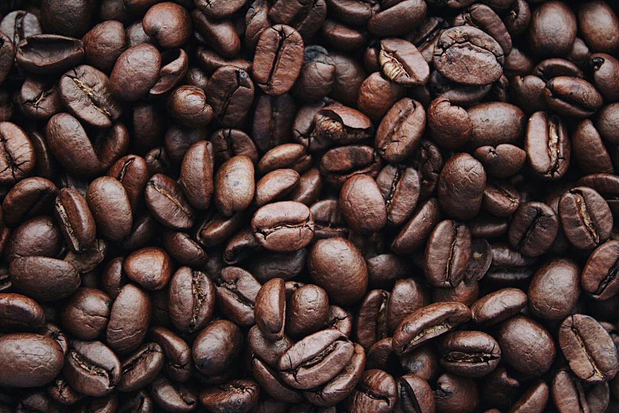 Shale Craft Coffee