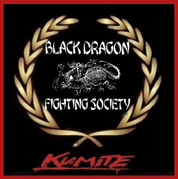 blackdragonfightingsociety.org