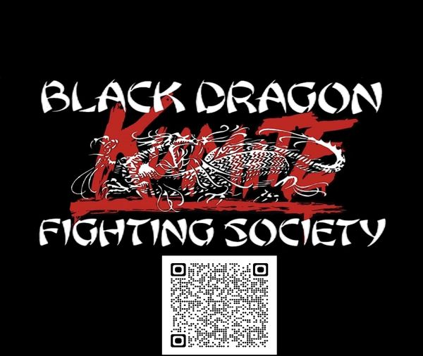 blackdragonfightingsociety.org