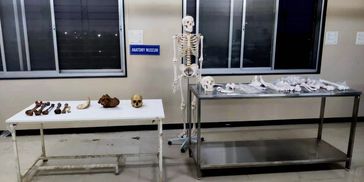 HOME [gmcbuldhana.org]