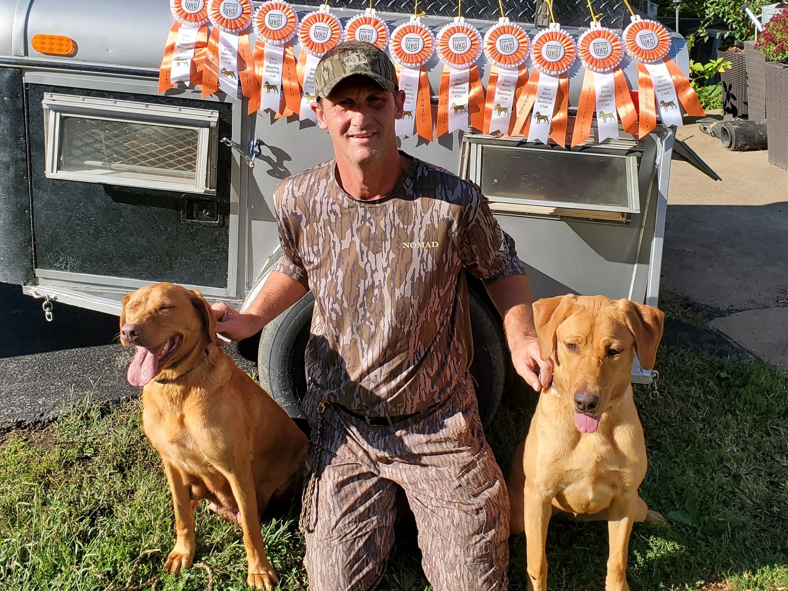 Breeder - Fox Red Labrador Retrievers