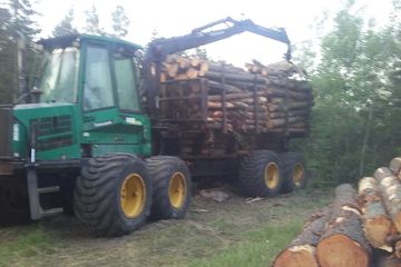 Logging, Tree Harvest - Miller Logging Inc. - Harrison, Michigan