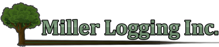 Logging, Tree Harvest - Miller Logging Inc. - Harrison, Michigan
