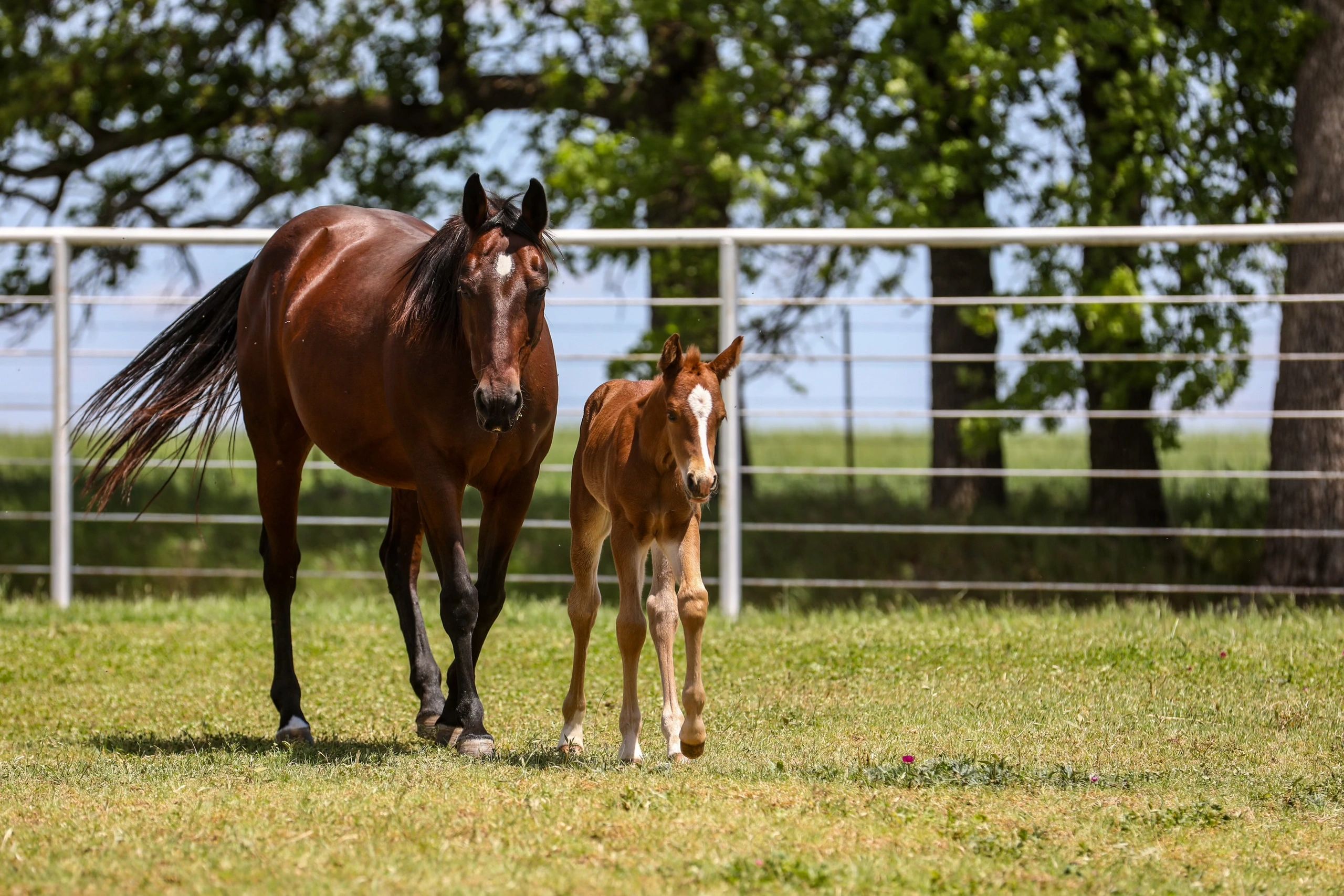 Expanding Our Program: Meet Tilly Mae!