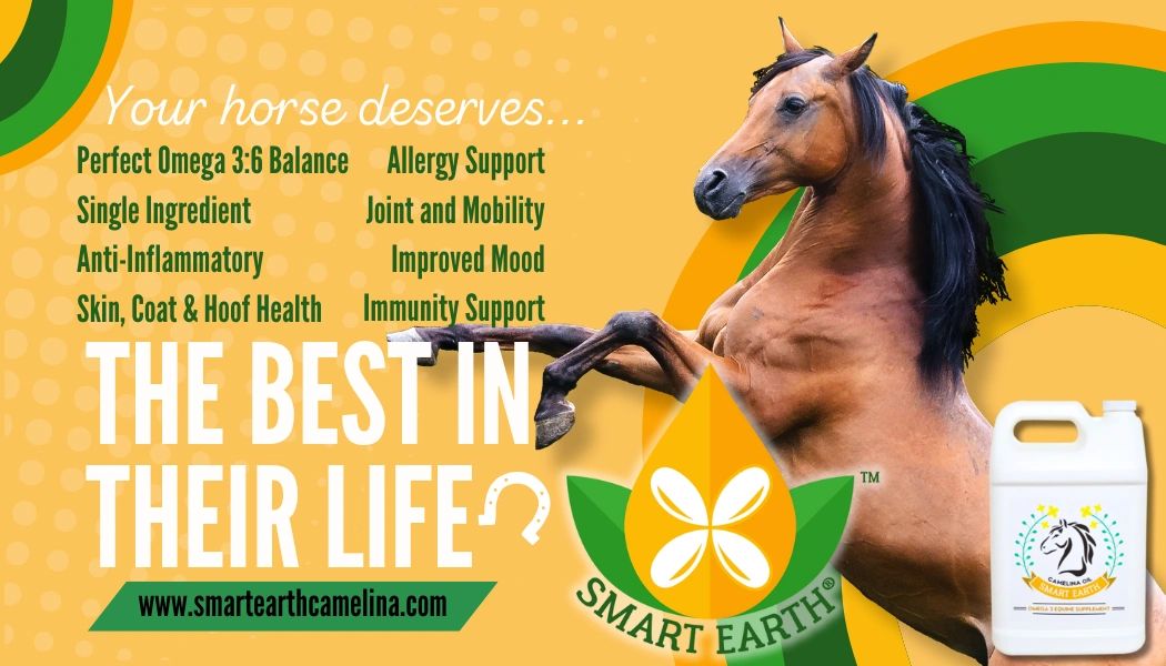 Why Smart Earth Camelina Oil Should Be Part of Your Horse’s Diet